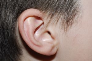 Otitis remedios caseros - RespuestaInteligente.com